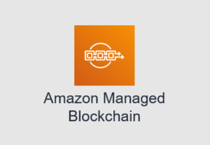 AWS Managed Blockchain のハンズオンを解説（補足）する – TechHarmony