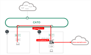 【前編】CatoクラウドのBackhaulingについて～Local gateway IP～ – TechHarmony