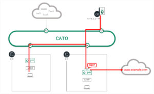 【後編】CatoクラウドのBackhaulingについて～Internet Breakout～ – TechHarmony
