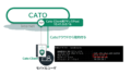 【Catoクラウド】モバイルユーザのIPアドレス ～固定IPの設定方法～ – TechHarmony