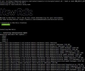 【New Relic】Infrastructureエージェントのインストールと設定(Linux版) – TechHarmony